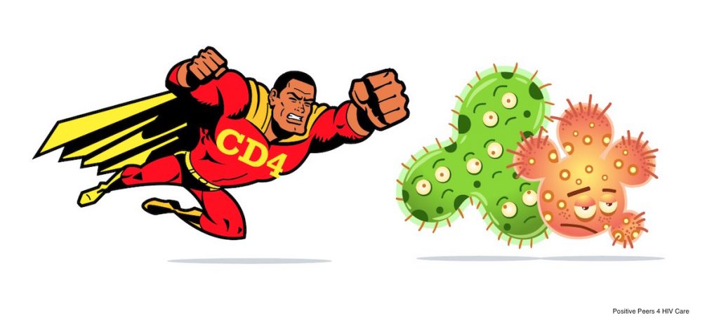HIV in the body: The HIV life cycle - Positive Peers