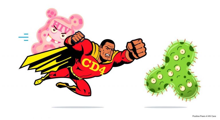 HIV in the body: The HIV life cycle - Positive Peers