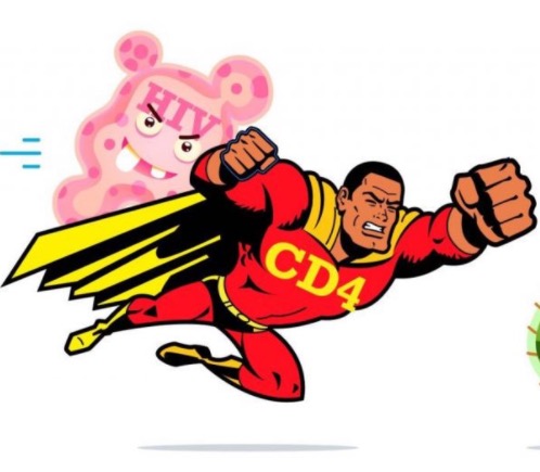 HIV in the Body: The HIV life cycle - Positive Peers