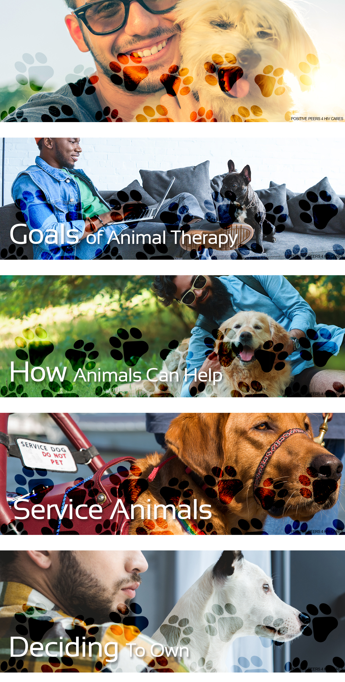 Positive Peers Animal Therapy - Positive Peers