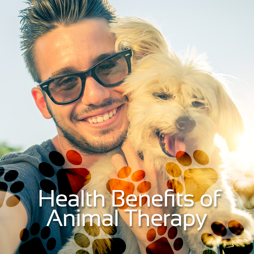 Positive Peers Animal Therapy - Positive Peers