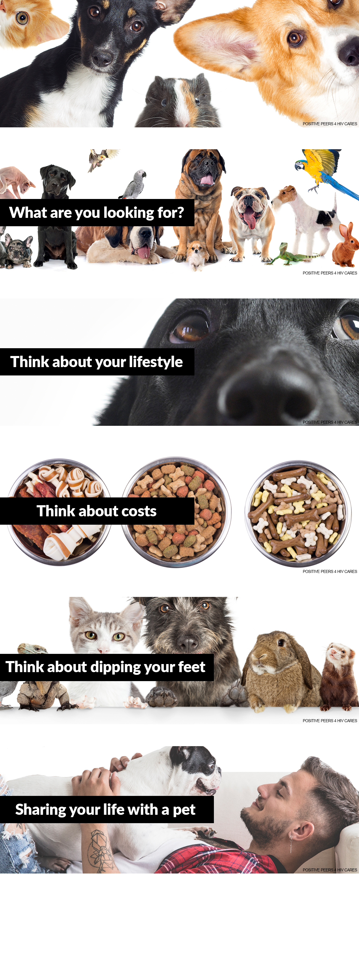 Positive Peers Should you own a pet? - Positive Peers